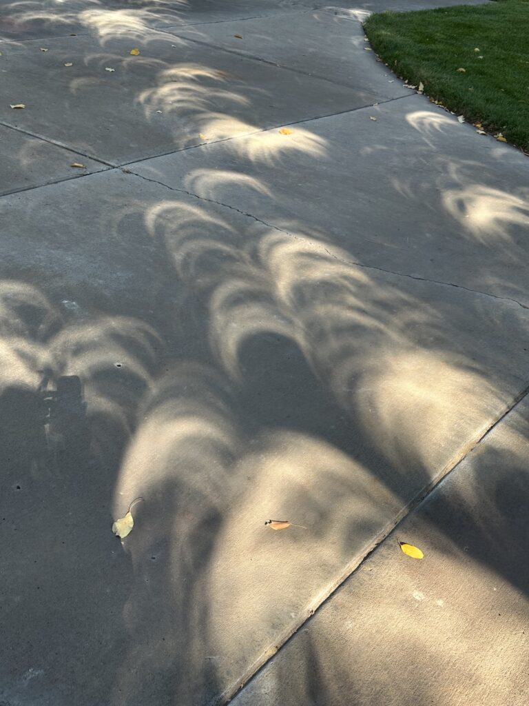 Remembering the Annular Solar Eclipse to Prep for the Total Eclipse ...